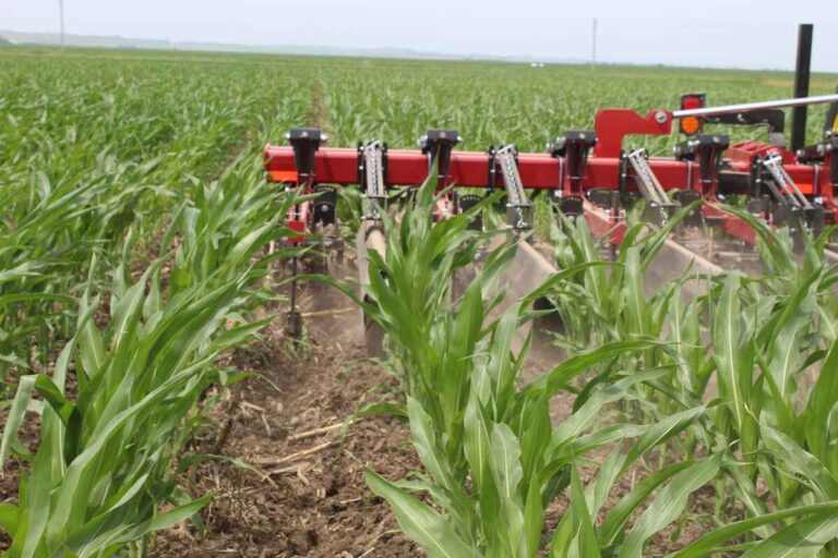 Mastering Weed Control: The Power of Sweeps in Tillage Farming