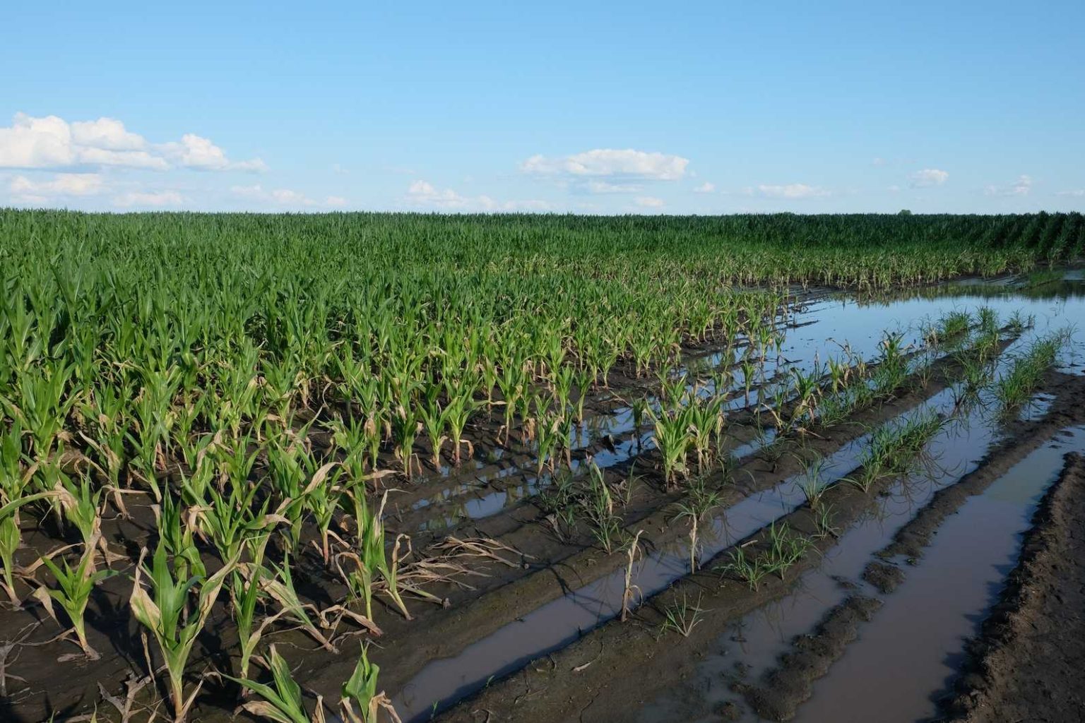 Dealing with Ruts: A Quick Guide for Farmers | Wearparts